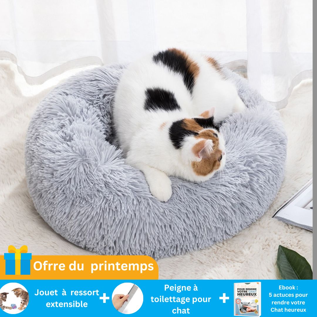 Coussin pour chat | SoftRelax™ – Royaume Des Chats